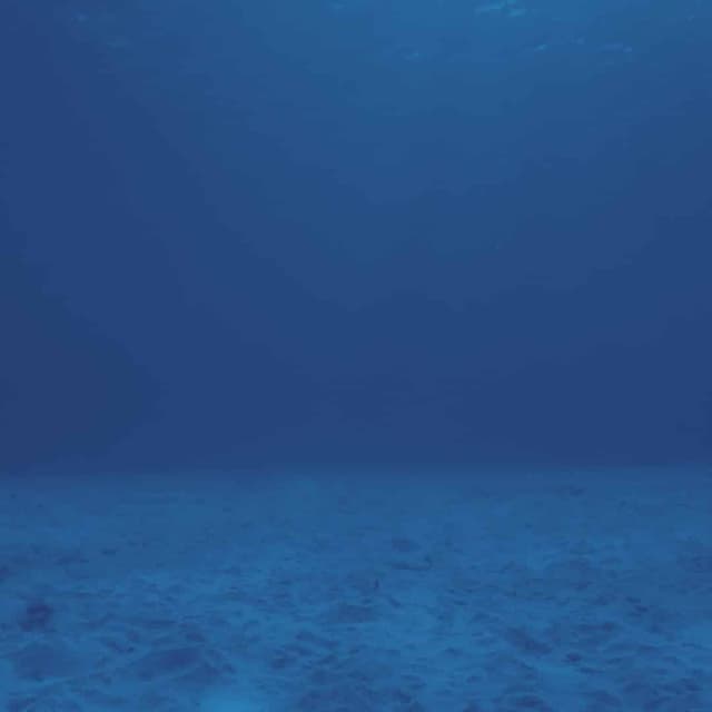 The European Multidisciplinary Seafloor and Water-Column Observatory to Explore the Ocean - EGI